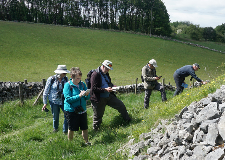 New Mills U3A